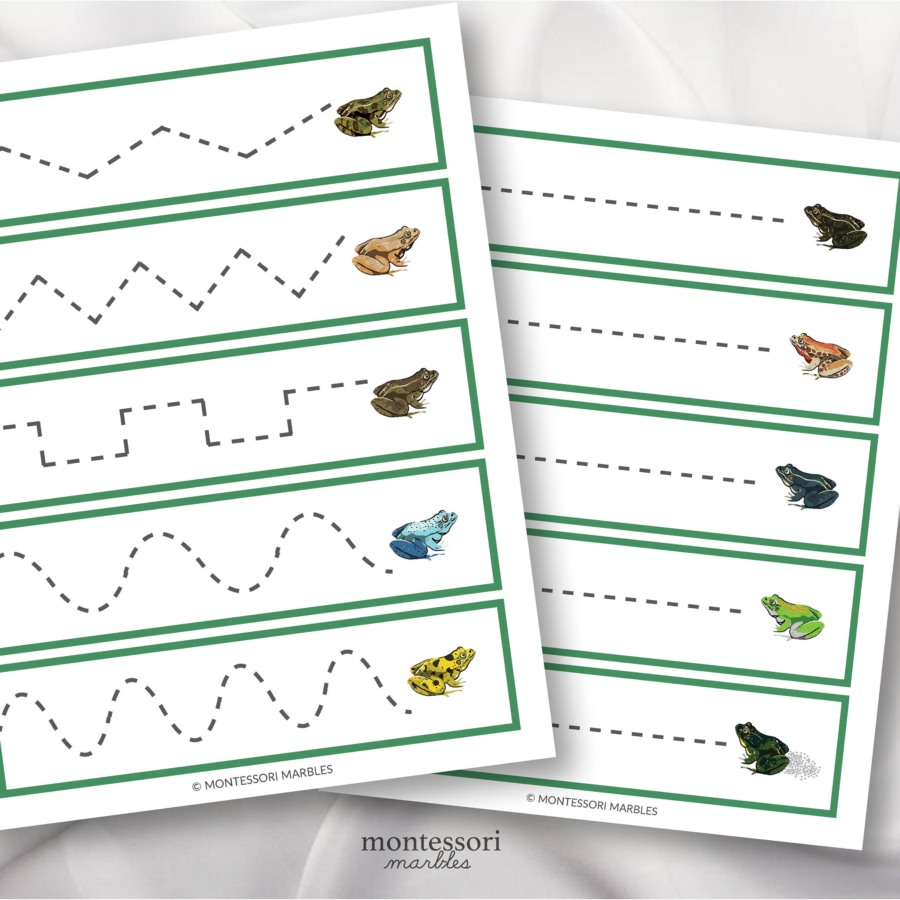 FROGS Cutting Strips With Life Cycle for Scissors Skills - Etsy