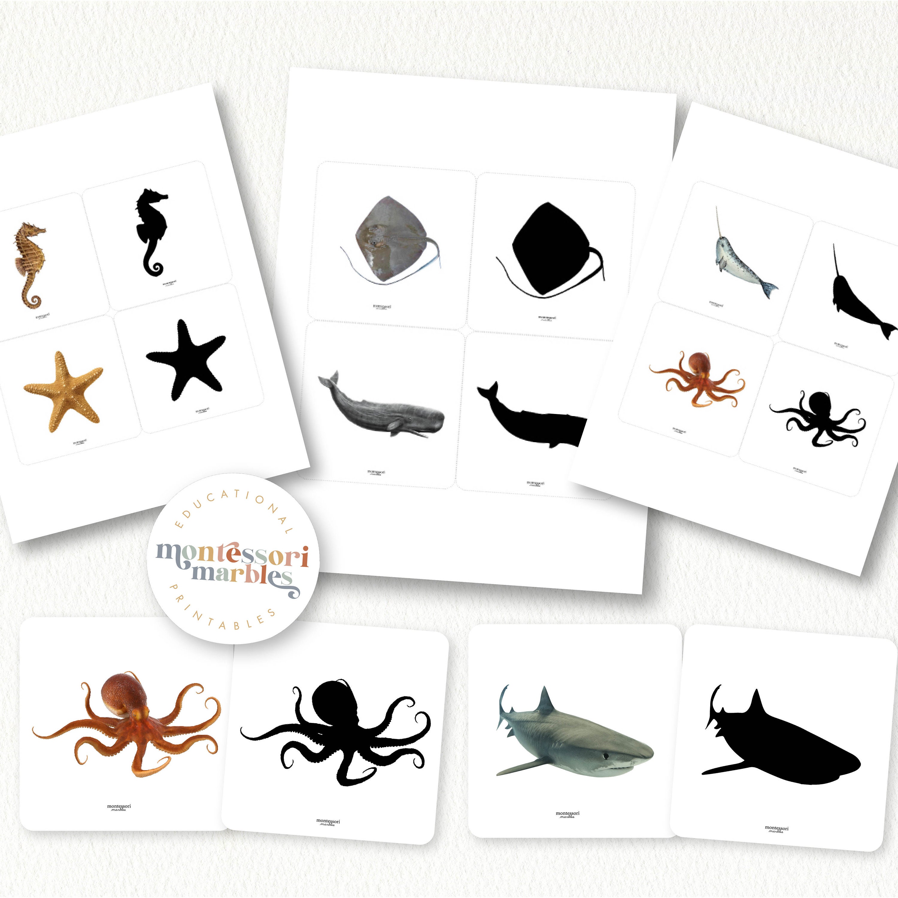 Ocean Animals Shadow Matching Game | Montessori Science | Visual Skills ...