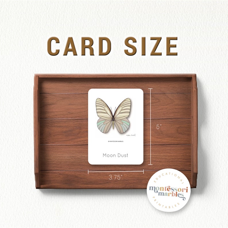 Butterfly Nomenclature Cards | Montessori 3-part Cards | Spring Nature ...