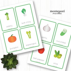 VEGETABLE Flash Cards Montessori Resources Preschool Prek | Etsy