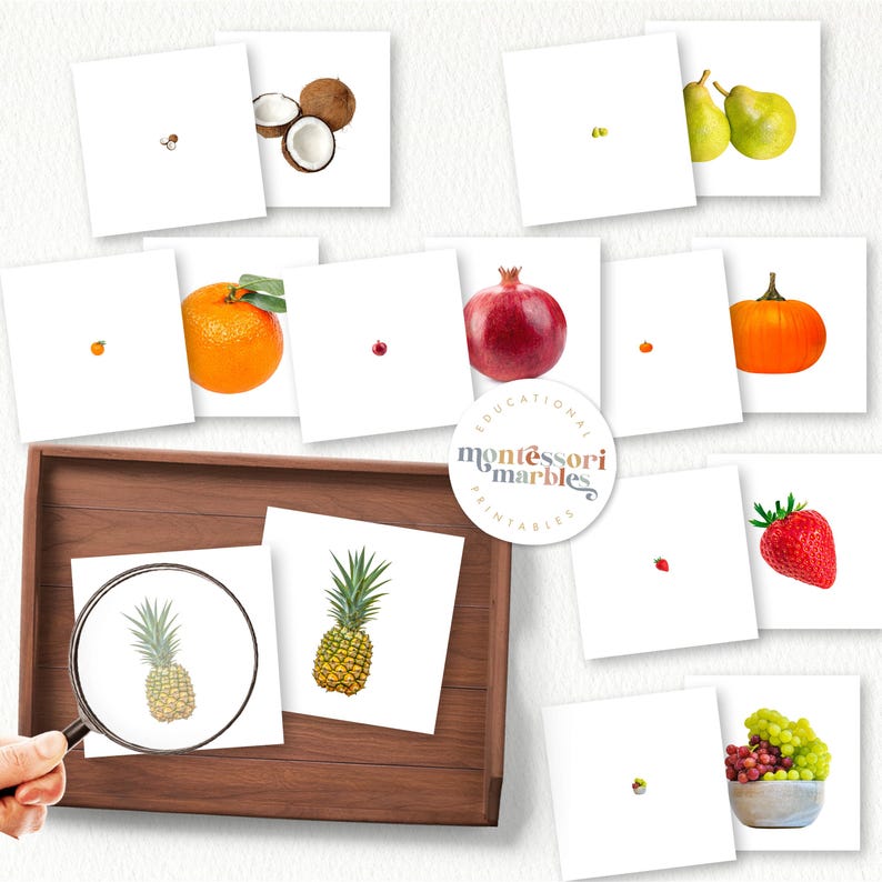 Fruits Magnifying Matching Game | Montessori Learning | Visual ...