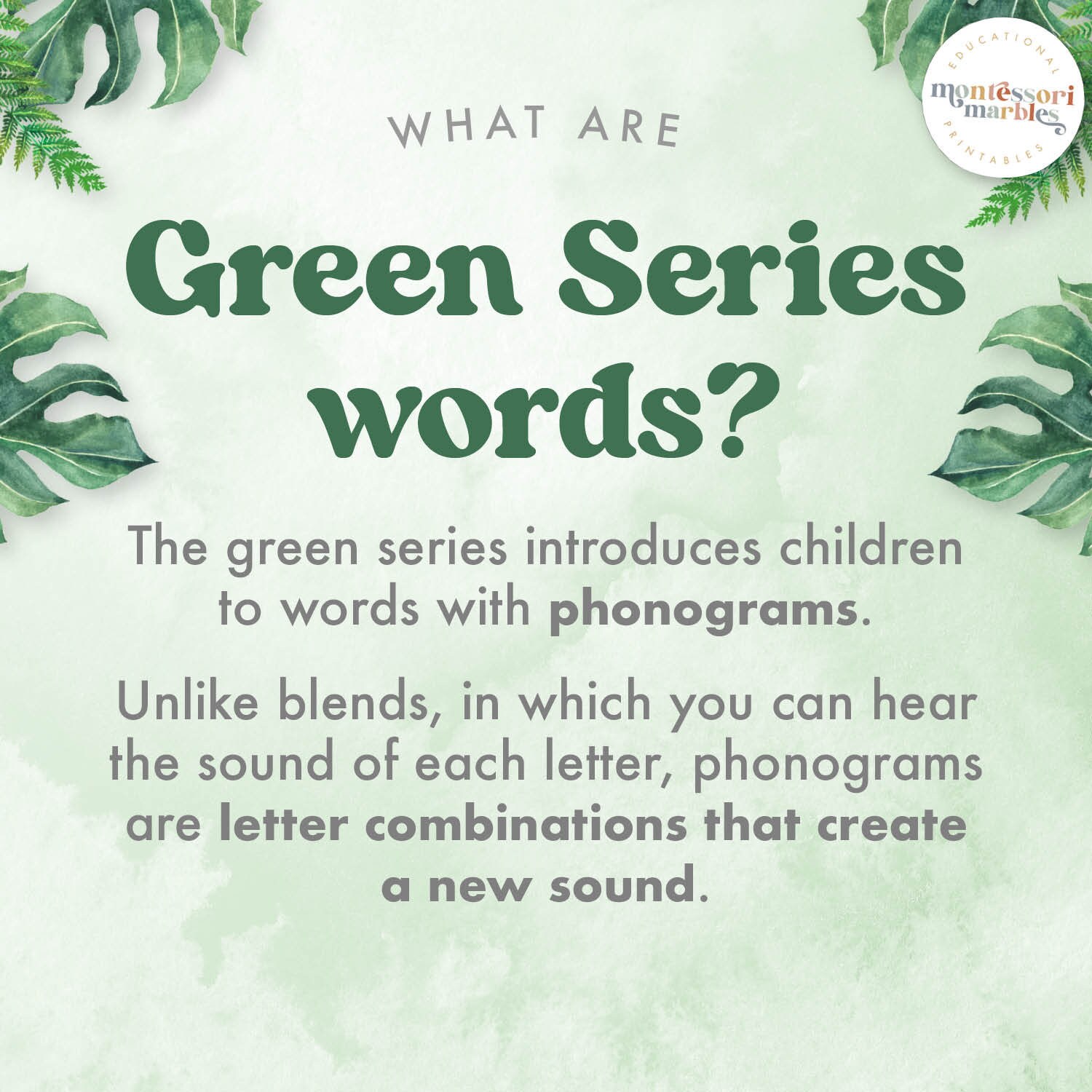 Green Series Tracing Cards | Montessori Language | Phonogram Spelling ...