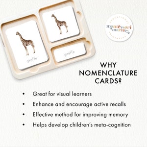 SAFARI ANIMALS Montessori Nomenclature Cards | Nature-based Learning ...