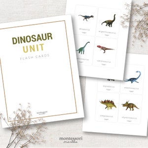 DINOSAURS Flash Cards 18 Flashcards Montessori Inspired | Etsy