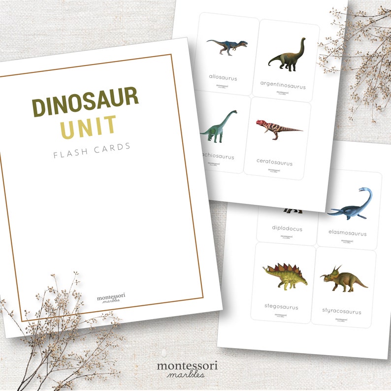 DINOSAURS Flash Cards 18 Flashcards Montessori Inspired | Etsy