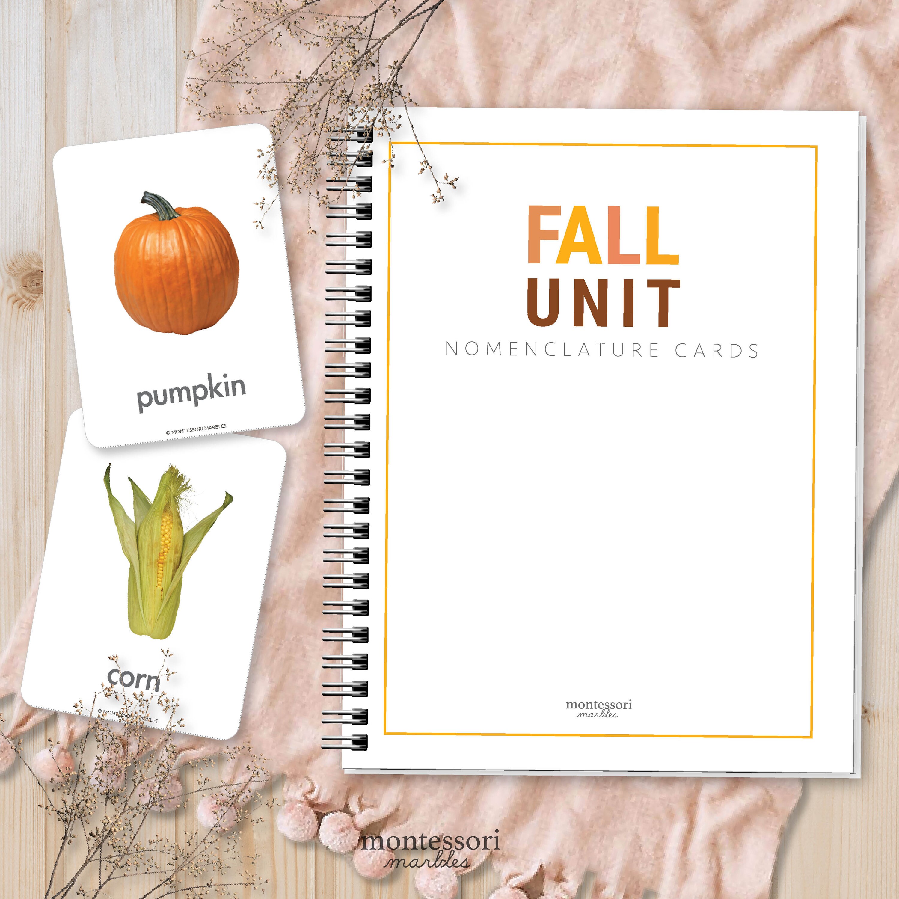 FALL Montessori Nomenclature Cards Autumn Flash Cards - Etsy