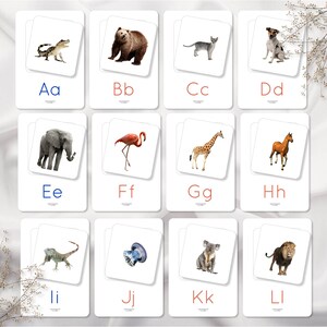 BEGINNING SOUNDS Matching Cards, Montessori Activity Cards, Learning ...
