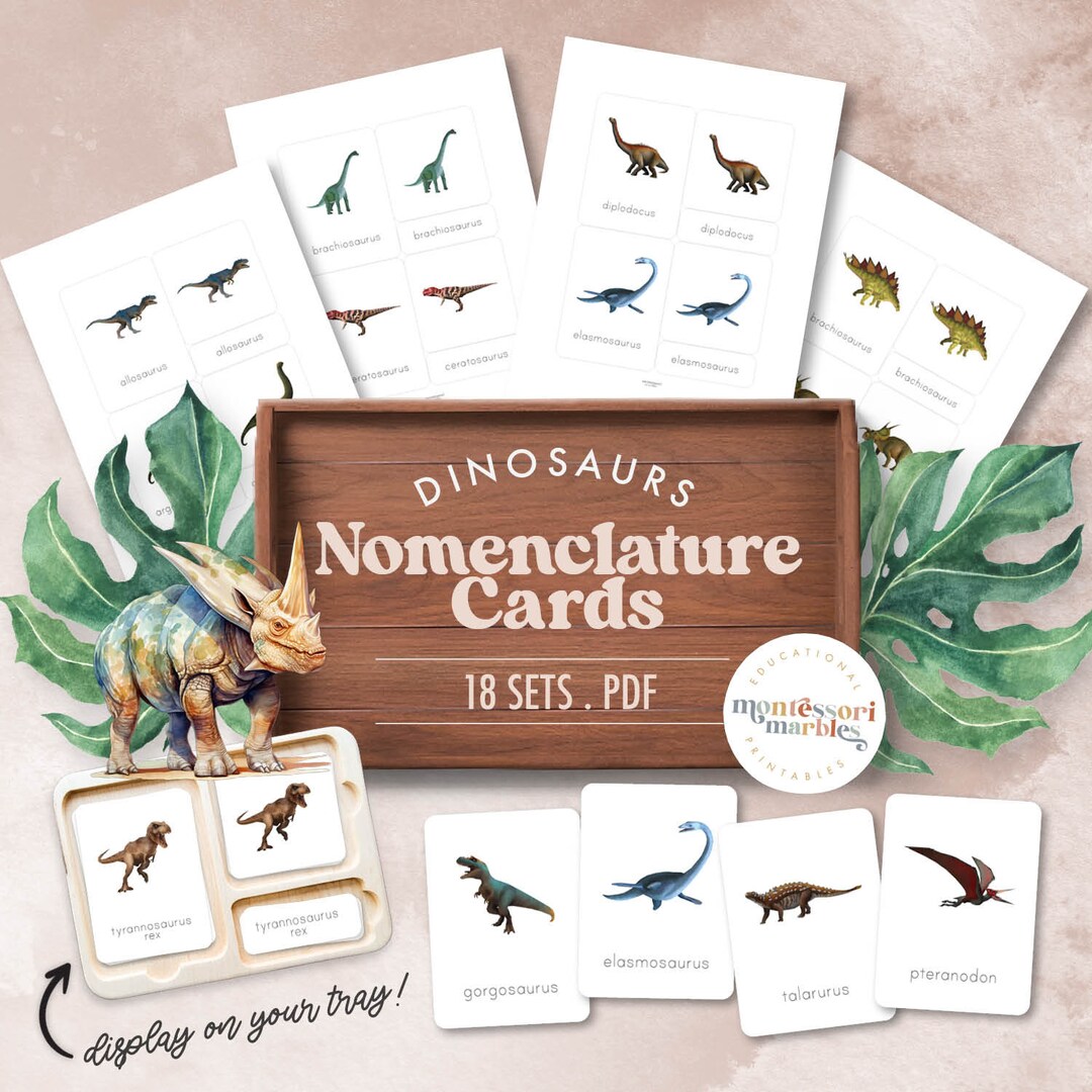 DINOSAUR Montessori Nomenclature Cards, Prehistoric Creatures Cards ...