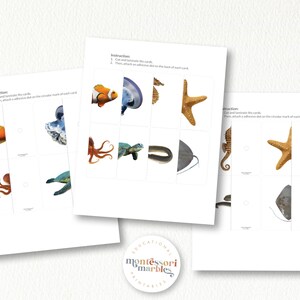OCEAN ANIMALS Symmetry Puzzles | Montessori Inspired Printable ...
