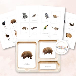 AUSTRALIAN ANIMALS Nomenclature Cards | Montessori Inspired Learning ...