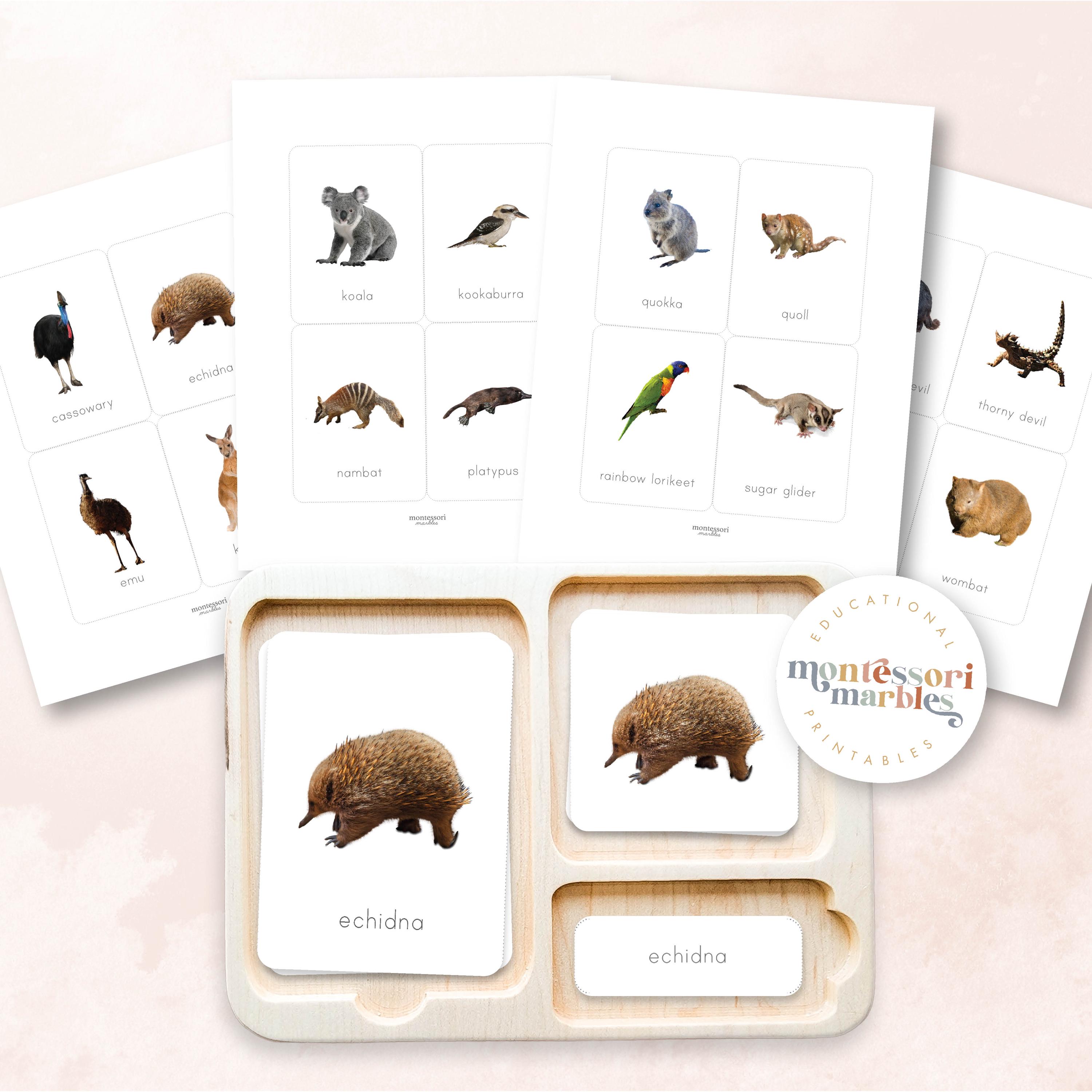 Australian Animals Nomenclature Cards | Montessori 3-part Cards ...