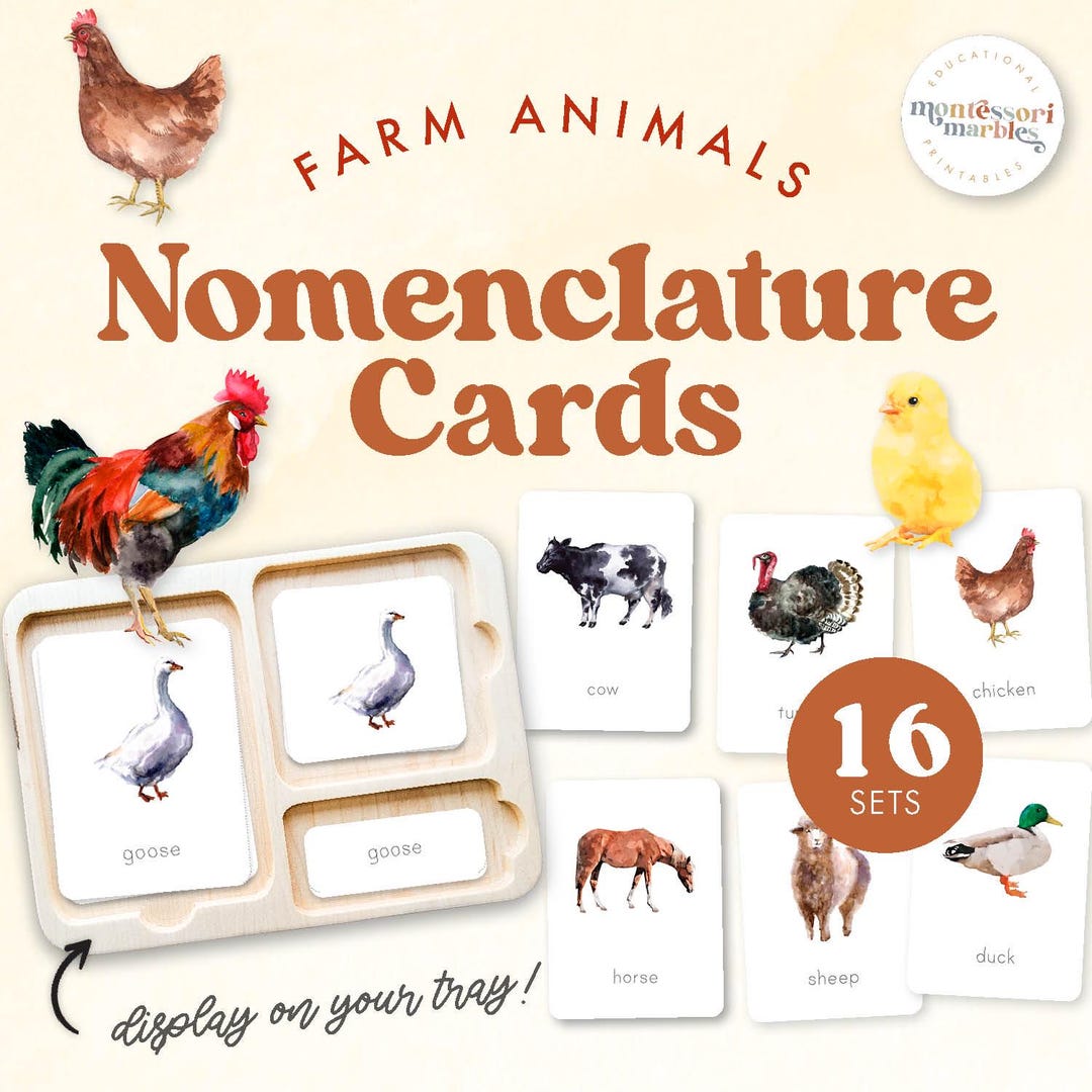 FARM ANIMALS Montessori Nomenclature Cards, Montessori Homeschool Prek ...