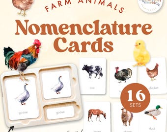 Montessori Farm Animal 3 Part Cards - Etsy Ireland