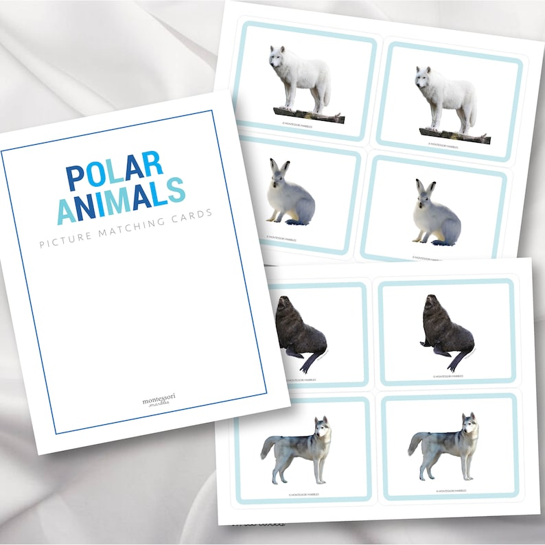 POLAR ANIMALS Picture Matching Cards Montessori Inspired - Etsy
