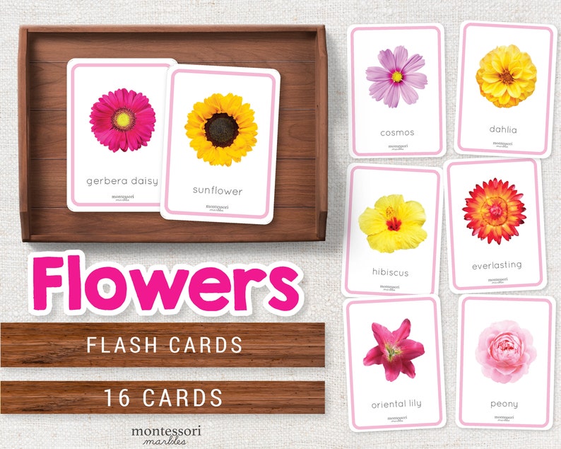 SPRING FLOWERS Flash Cards Montessori Inspired Printable - Etsy