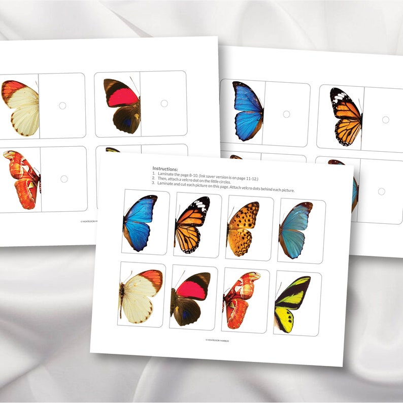 BUTTERFLY Symmetry Puzzles Montessori Inspired Visual - Etsy