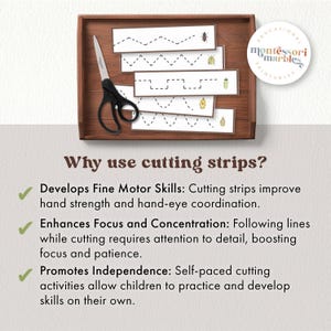 BUGS Cutting Strips for Montessori Toddler & Prek, Fun Spring Activity ...