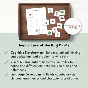 LIVING & NON-LIVING Sorting Cards, Montessori Inspired Activities ...