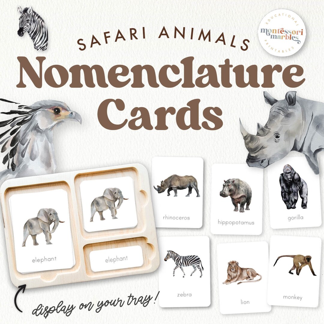 SAFARI ANIMALS Montessori Nomenclature Cards | Nature-based Learning ...