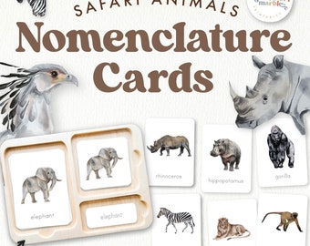 ANIMALS OF AFRICA Montessori Nomenclature Cards Nature-based Learning ...