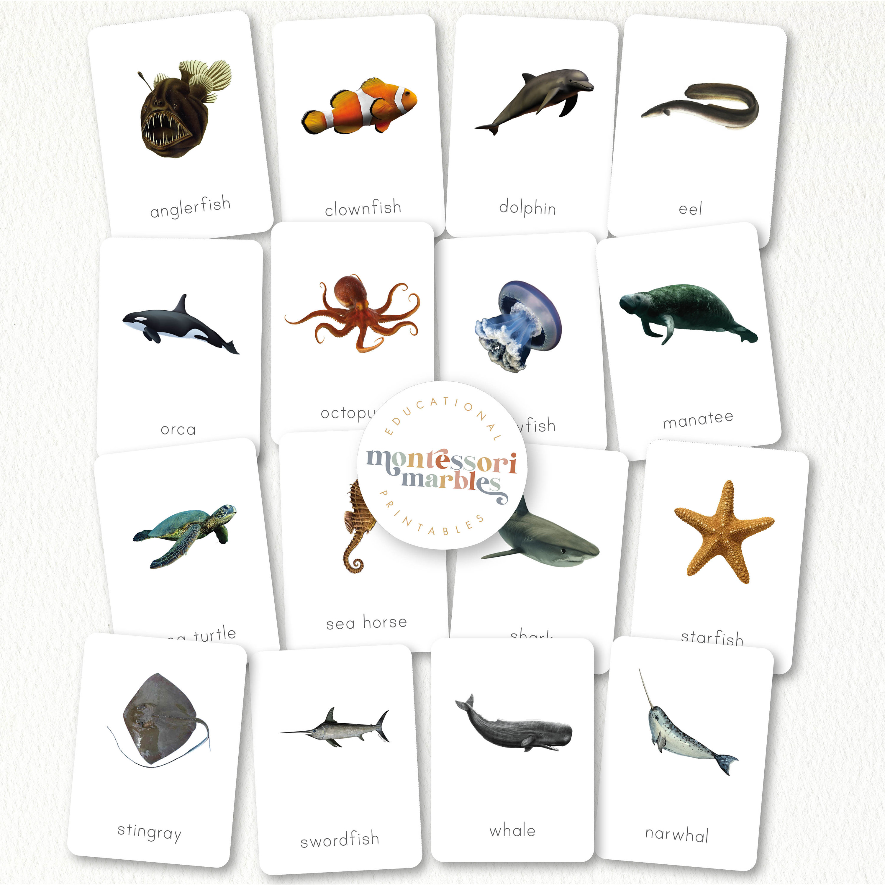OCEAN ANIMALS Flash Cards | Montessori Inspired Resources With Real ...