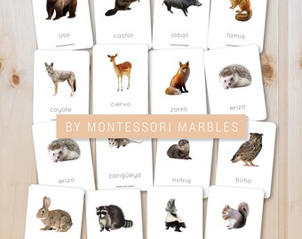 Spanish Montessori Cards - Etsy