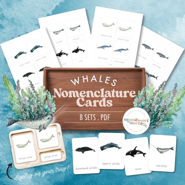 Right Whale - Etsy