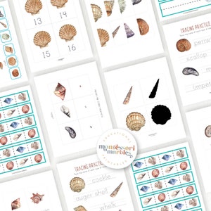 SEASHELLS Activity Bundle | Montessori Inspired Resources | Summer ...
