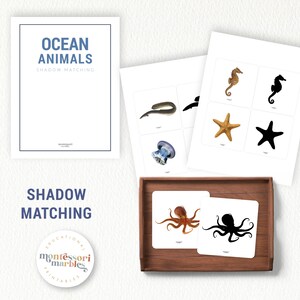 OCEAN ANIMALS Mini Bundle | 4 Sensory and Fine Motor Activities for ...