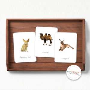 DESERT ANIMALS Flash Cards | Vocabulary Builder | Montessori Inspired ...
