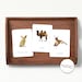 DESERT ANIMALS Flash Cards | Vocabulary Builder | Montessori Inspired ...