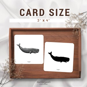 OCEAN ANIMALS Shadow Matching Montessori Inspired Silhouette Matching ...