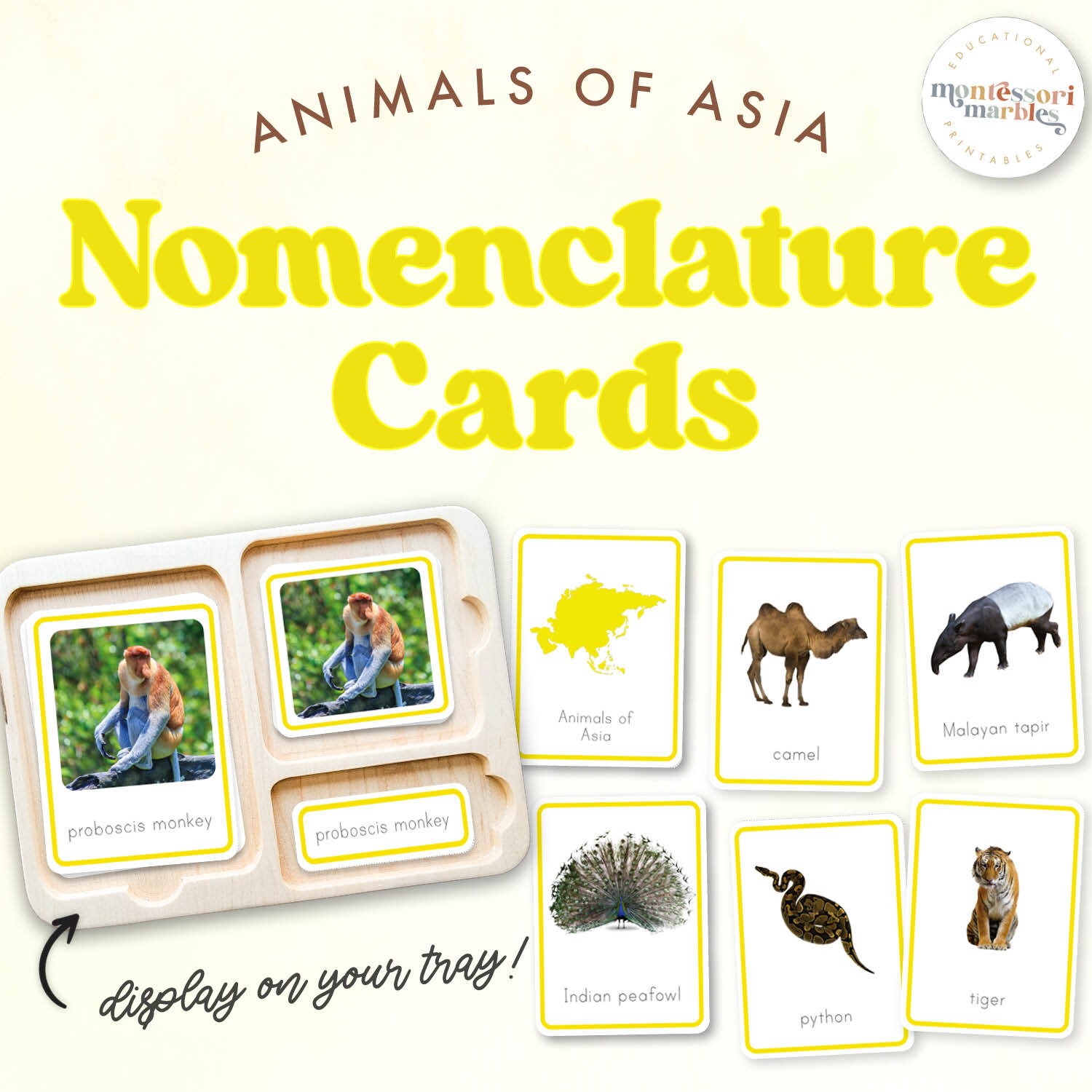 ANIMALS OF ASIA Montessori Nomenclature Cards Nature-based Learning for ...