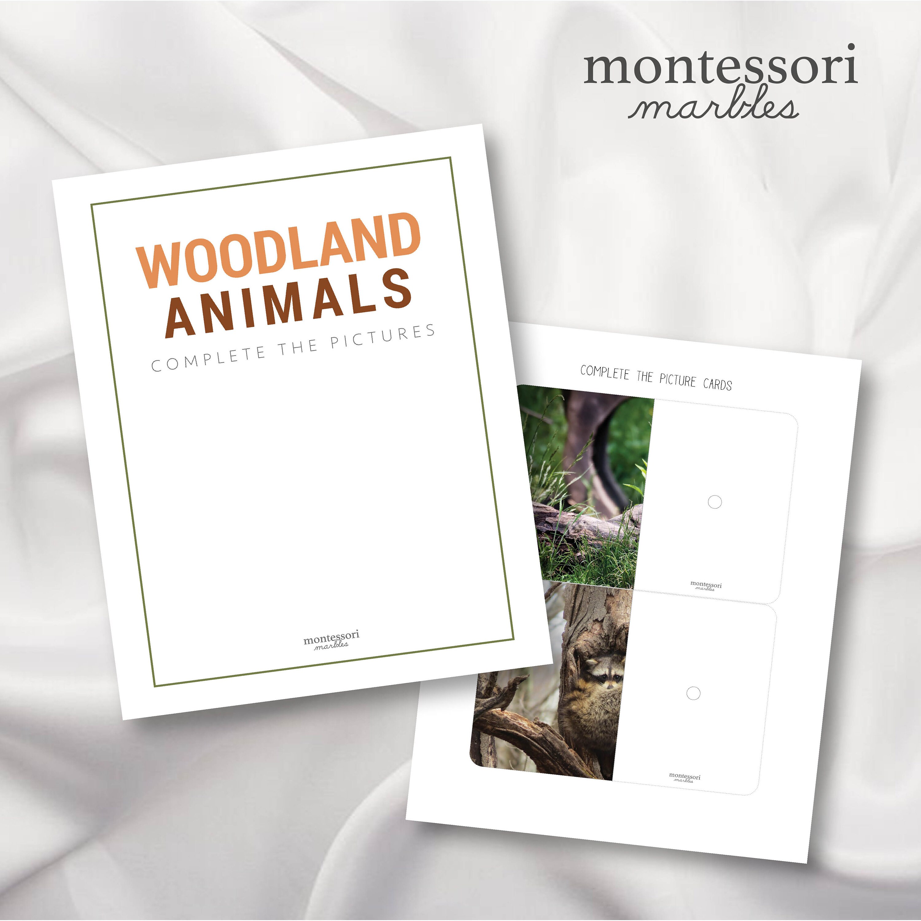 WOODLAND ANIMALS Montessori Picture Matching Activity - Etsy
