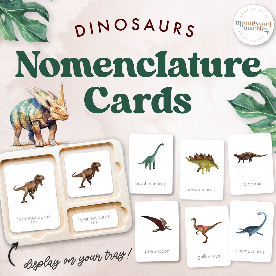 DINOSAUR Montessori Nomenclature Cards, Prehistoric Creatures Cards ...