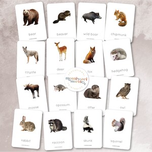 WOODLAND ANIMALS Flash Cards | Montessori Inspired Printable Resources ...