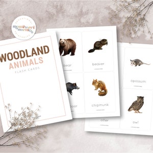 WOODLAND ANIMALS Flash Cards | Montessori Inspired Printable Resources ...