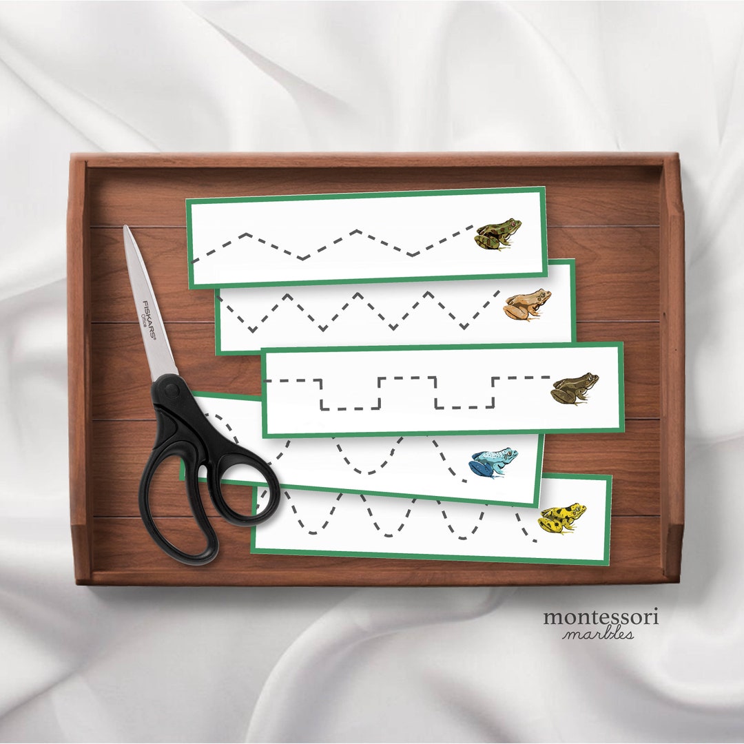 FROGS Cutting Strips With Life Cycle for Scissors Skills Montessori ...