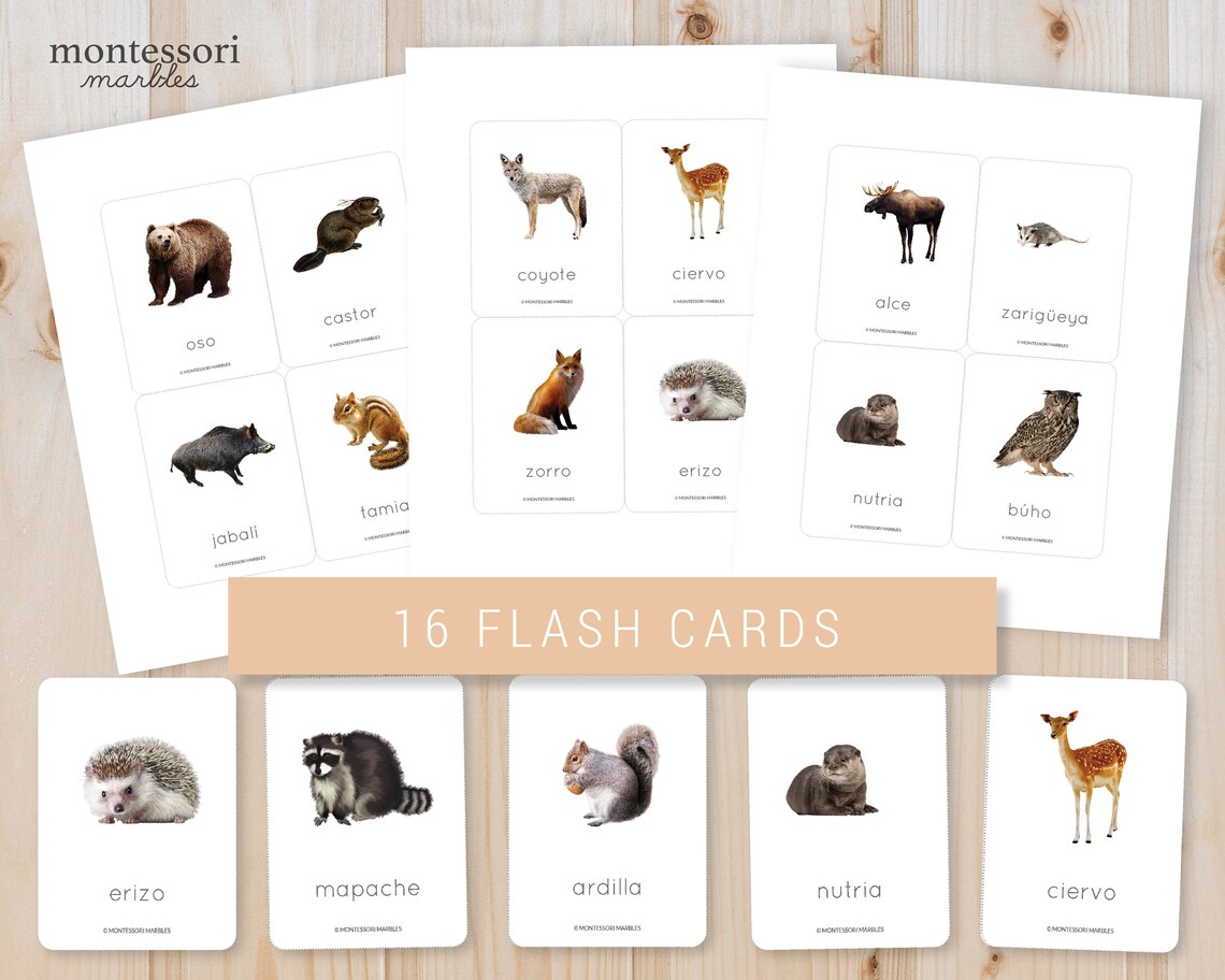 ANIMALES DEL BASQUE Woodland Animals Spanish Montessori - Etsy