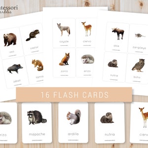ANIMALES DEL BASQUE Woodland Animals Spanish Montessori - Etsy