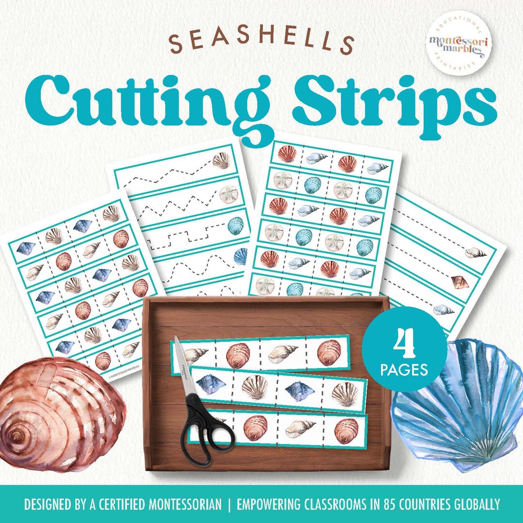 SEASHELLS Cutting Strips | Preschool Fine Motor Skills Activity ...