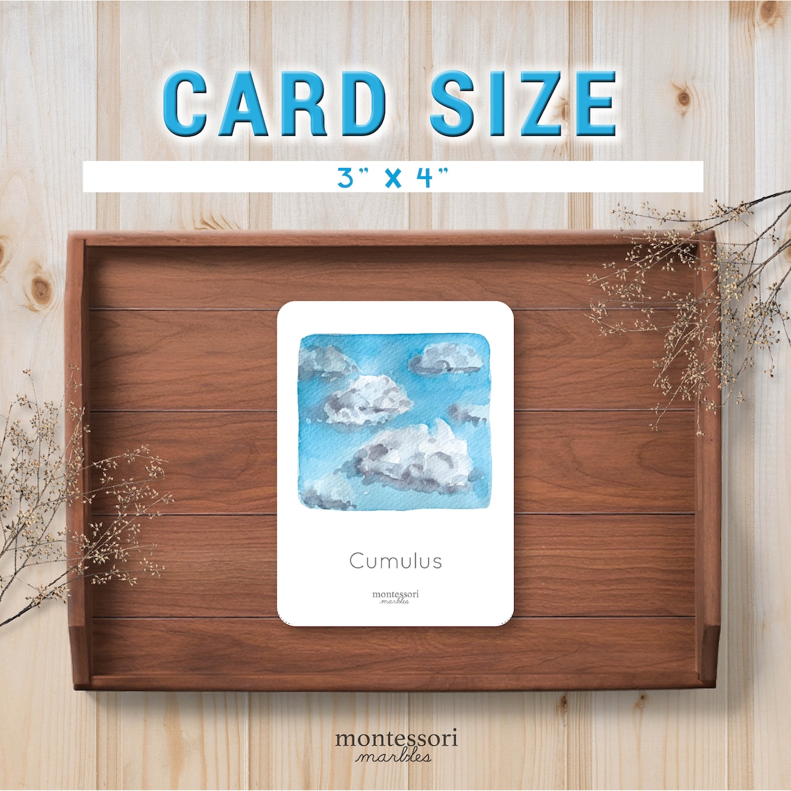 CLOUD Flash Cards Types of Cloud Learn About Weather - Etsy