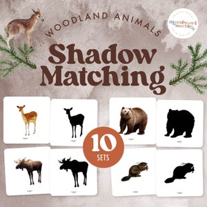Woodland Animals Shadow Matching | Silhouette Game 10 Forest Animals ...