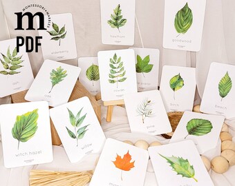 EASTER Flash Cards Montessori Inspired Printable Vocabulary - Etsy