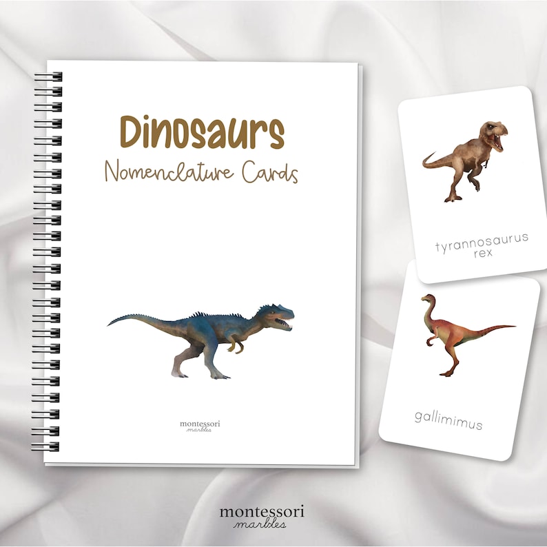 DINOSAUR Montessori Nomenclature Cards Prehistoric Creatures - Etsy