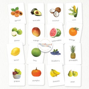 FRUITS Flash Cards | Montessori Inspired Resources With Real Pictures ...