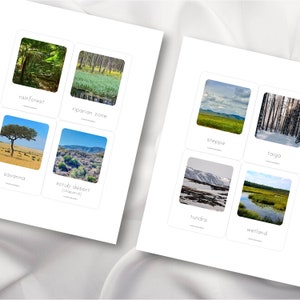 BIOMES Flash Cards Montessori Inspired Cards Social Studies Geography ...