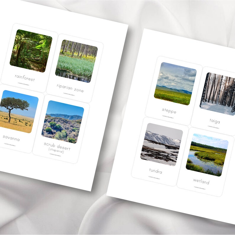 BIOMES Flash Cards Montessori Inspired Cards Social - Etsy