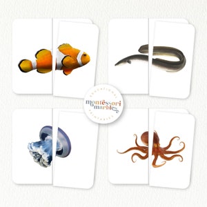 OCEAN ANIMALS Symmetry Puzzles | Montessori Inspired Printable ...