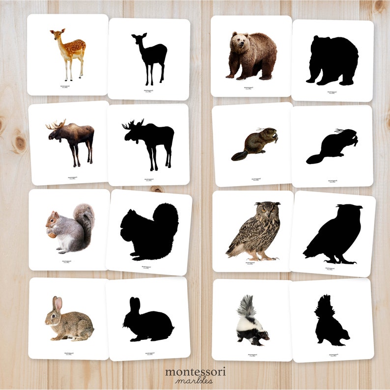 WOODLAND ANIMALS Shadow Matching Montessori Inspired - Etsy